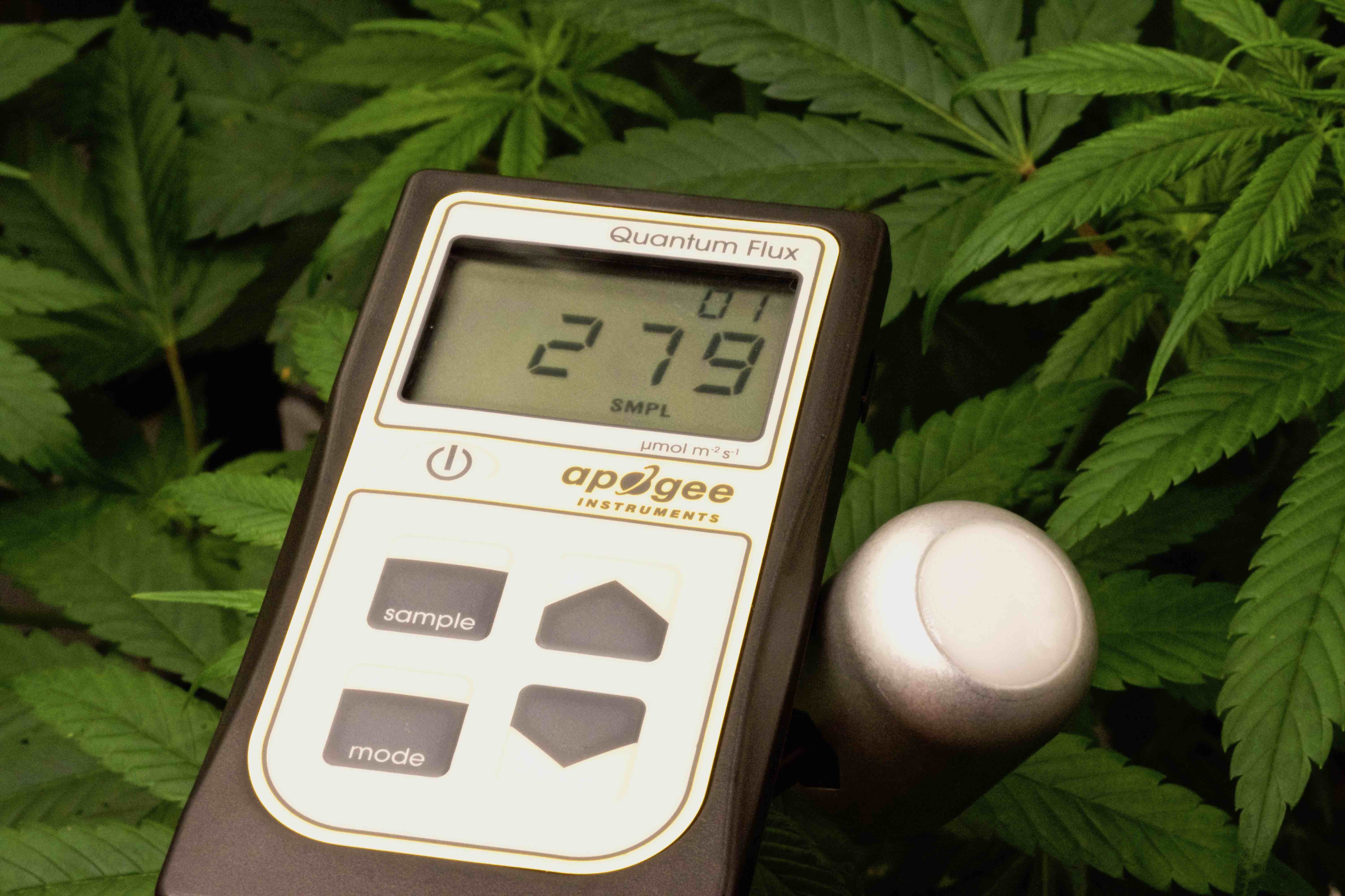 Meet the Grow Lights Iron Man Every Marijuana Grower Should Listen To ...
