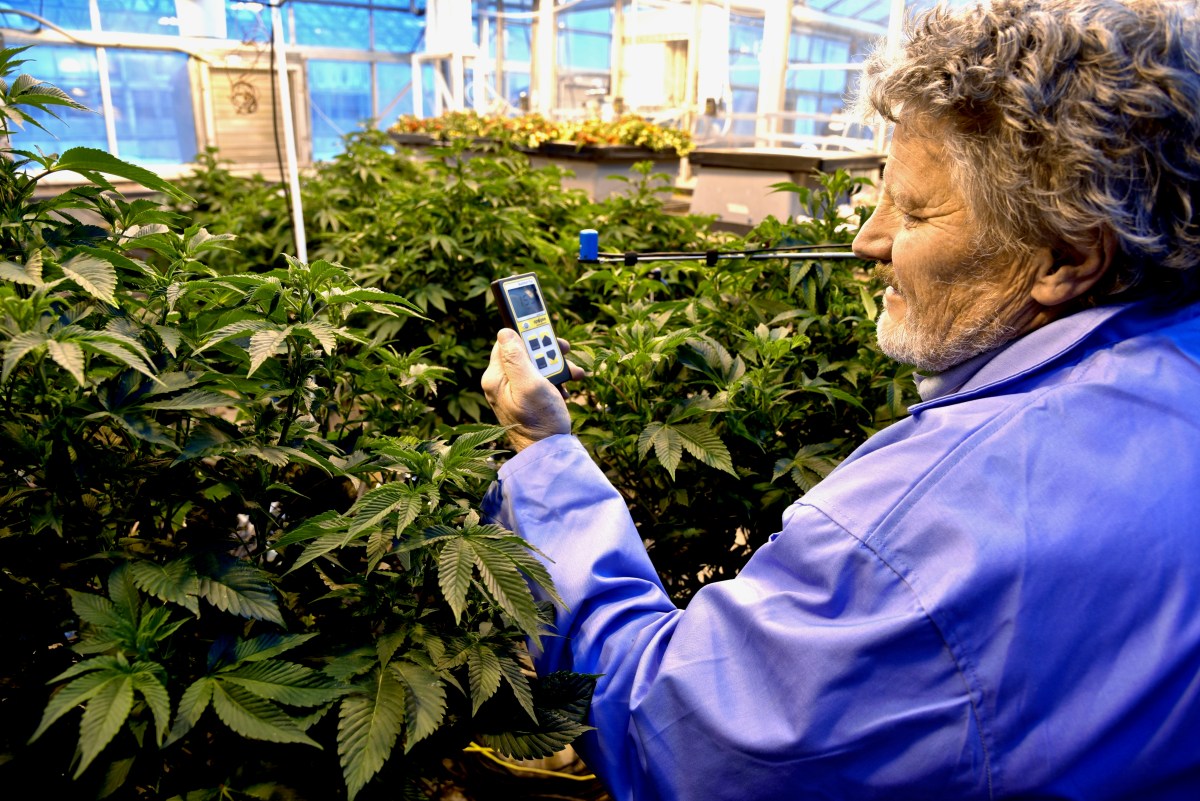 Meet the Grow Lights Iron Man Every Marijuana Grower Should Listen To ...